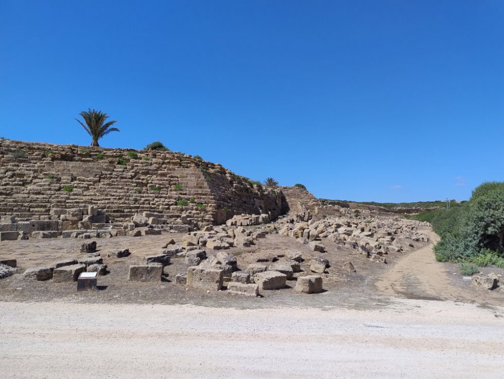 Visite du parc archéologique de Sélinonte (Selinunte en Sicile)