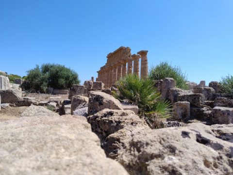 Visite du parc archéologique de Sélinonte (Selinunte en Sicile)