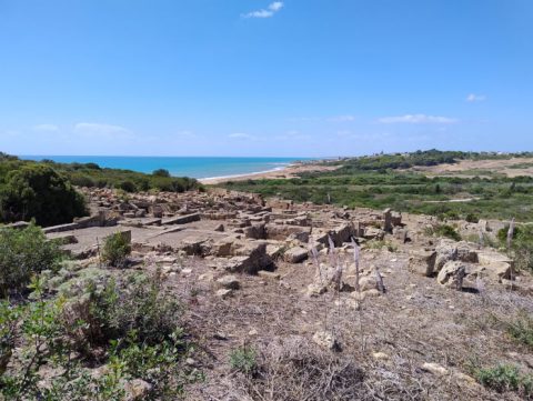 Visite du parc archéologique de Sélinonte (Selinunte en Sicile)